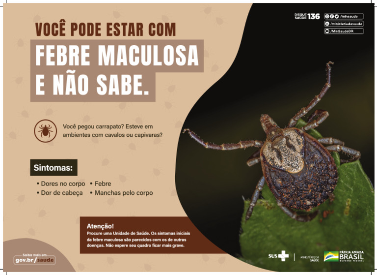 Cartaz Febre Maculosa | PDF