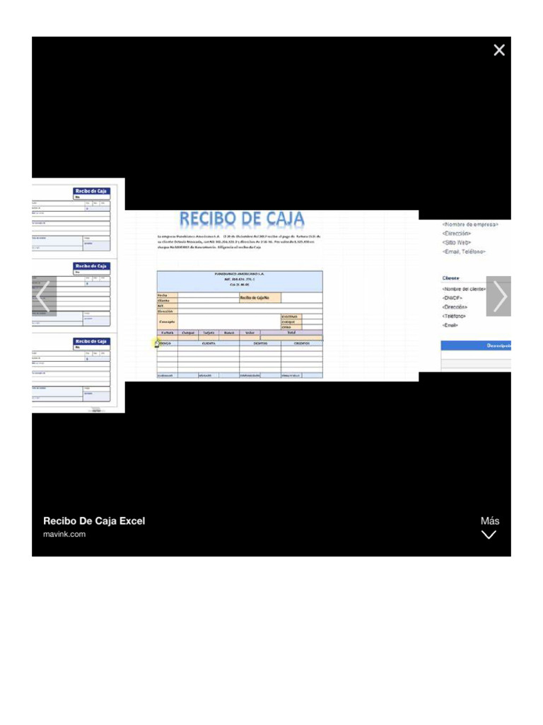Recibo de Caja Excel | PDF