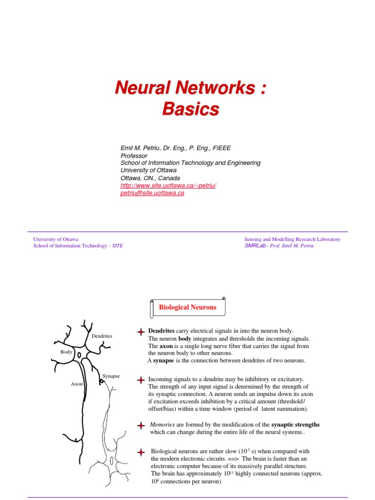 NN Basics Tutorial 2004 | PDF | Dendrite | Artificial Neural Network