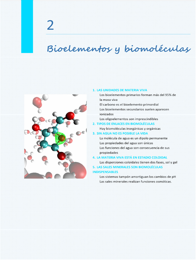 Tema 02. Bioelem y Biomol_desarrollado | PDF | Propiedades del agua | Solución tampón