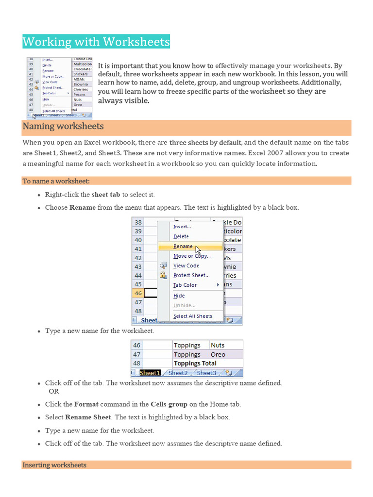13. Working with Worksheets | PDF | Microsoft Excel | Worksheet