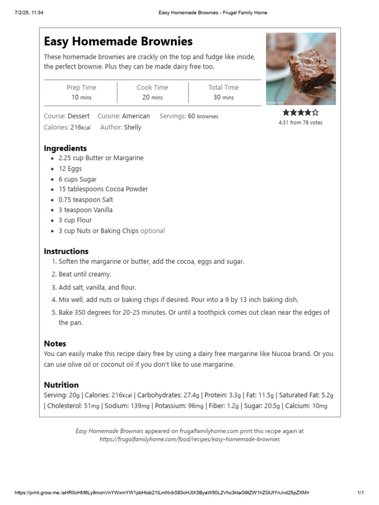 Easy Dairy-Free Brownies Recipe | PDF