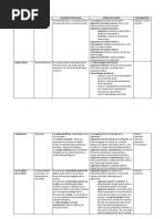 Tipos de Ferula en Miembro Inferior | PDF