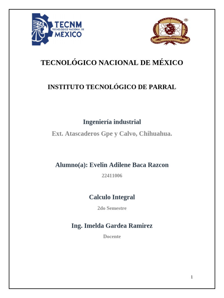 Calculo Integral. Evelin Baca Razcon 22411006 | PDF | Integral | Zona