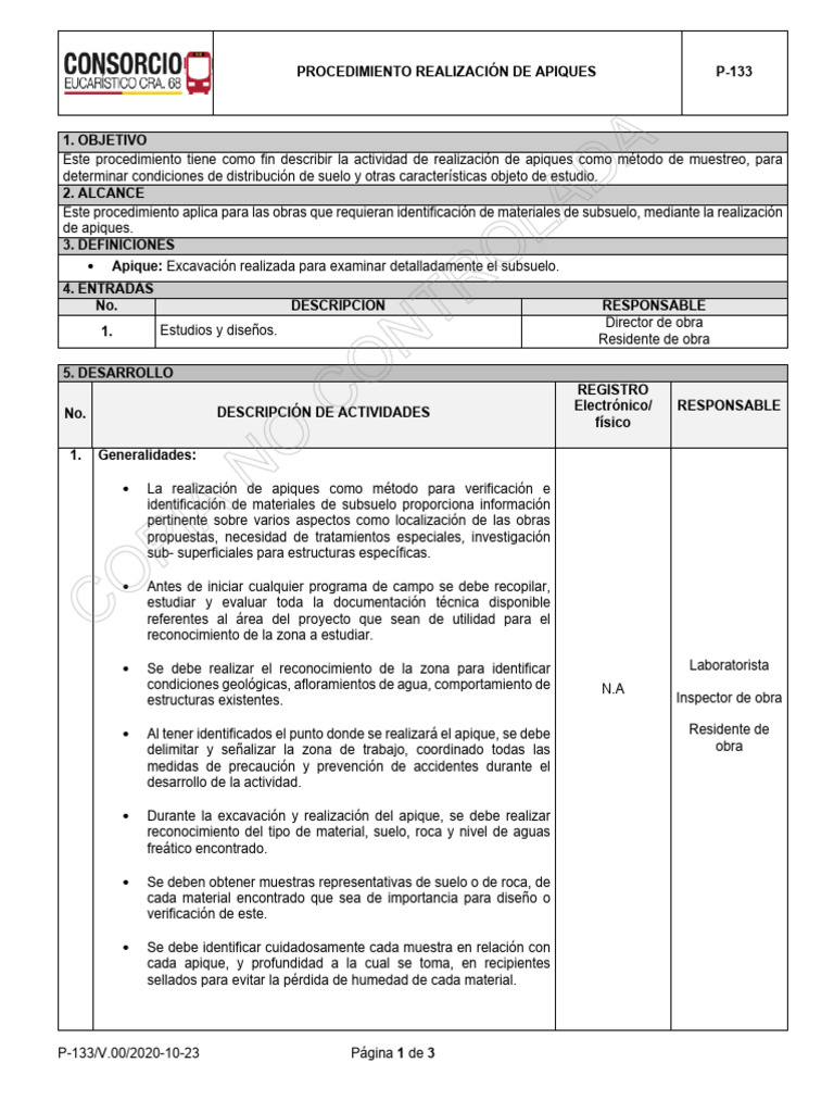 P133 Proc Realizacion de Apiques | PDF
