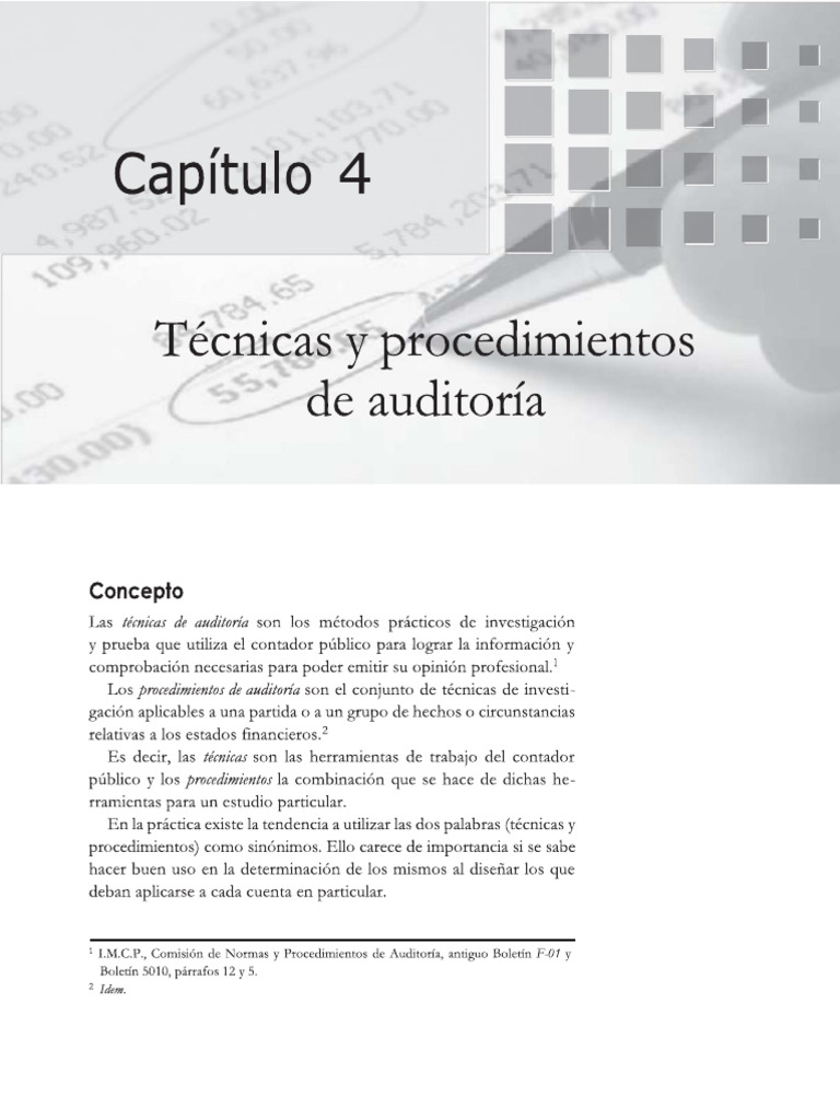 Tecnicas y Procedimientos de Auditoria | PDF