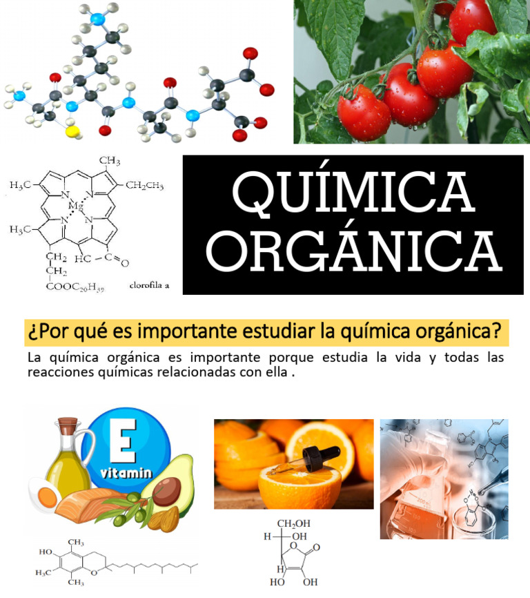 QUIMICA ORGANICA Clases-1-2 | PDF