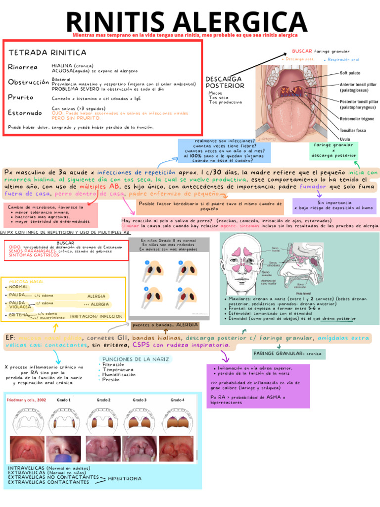 Tetrada Rínitica en Niños | PDF | Asma | Alergia