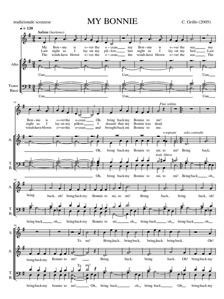 My Bonnie | PDF | Rock Songs | Political Songs