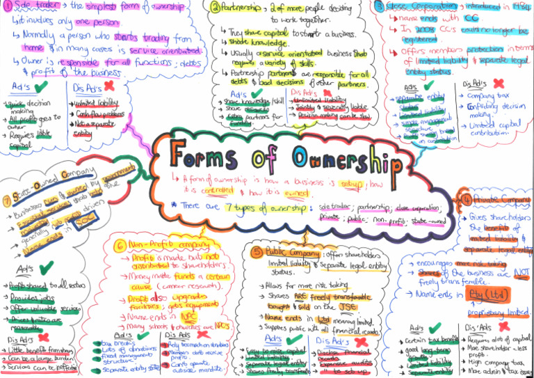Forms of Ownership Mind Map | PDF