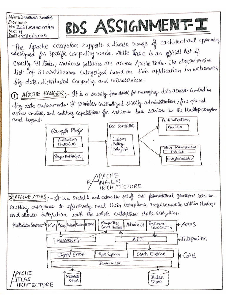BDS ASSIGNMENT | PDF