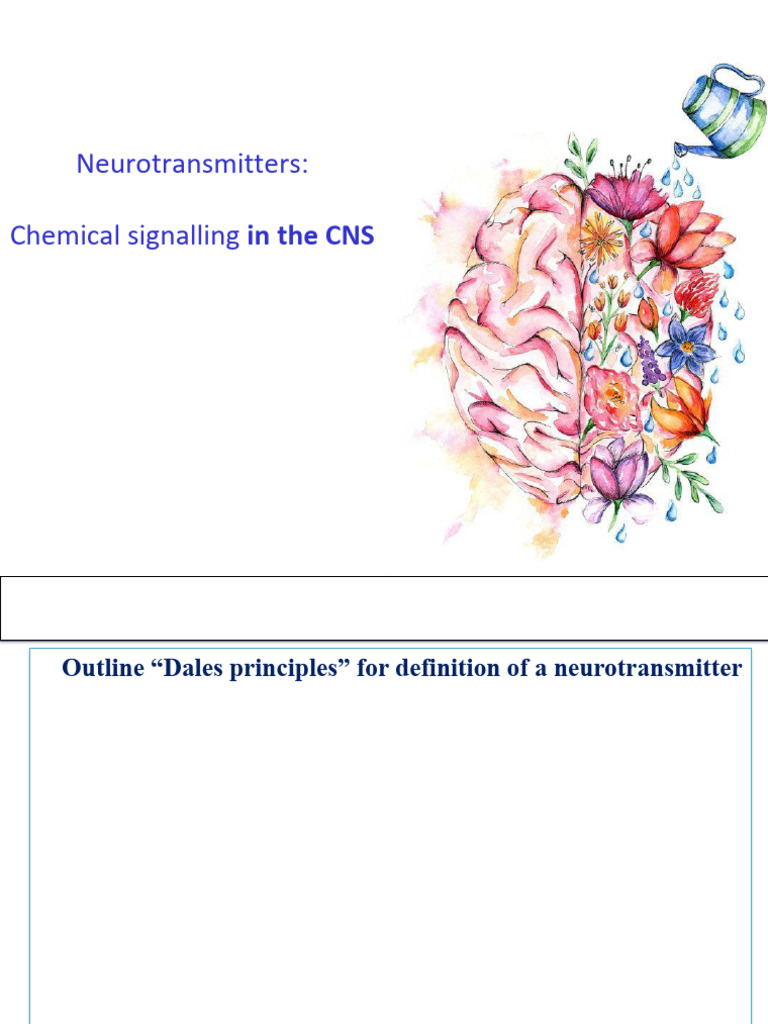 CNS Neurotransmitters.2025 | PDF | Neurotransmitter | Chemical Synapse