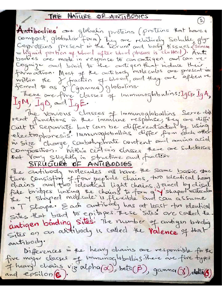 MCB 303 Antibodies (Prof. Ummu) | PDF