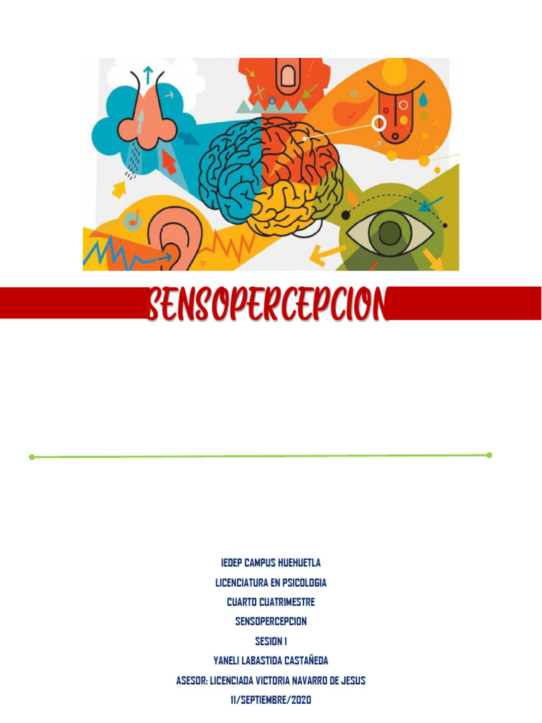 Sensopercepcion - Mapa Mental. | PDF | Percepción | Sentidos