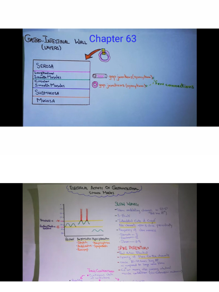 GIT Physiology Medical Gateway | PDF