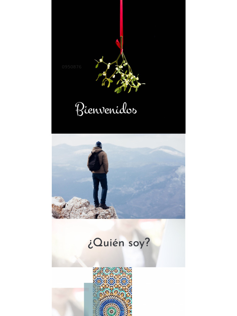 Presentation Adam Español 2 | PDF