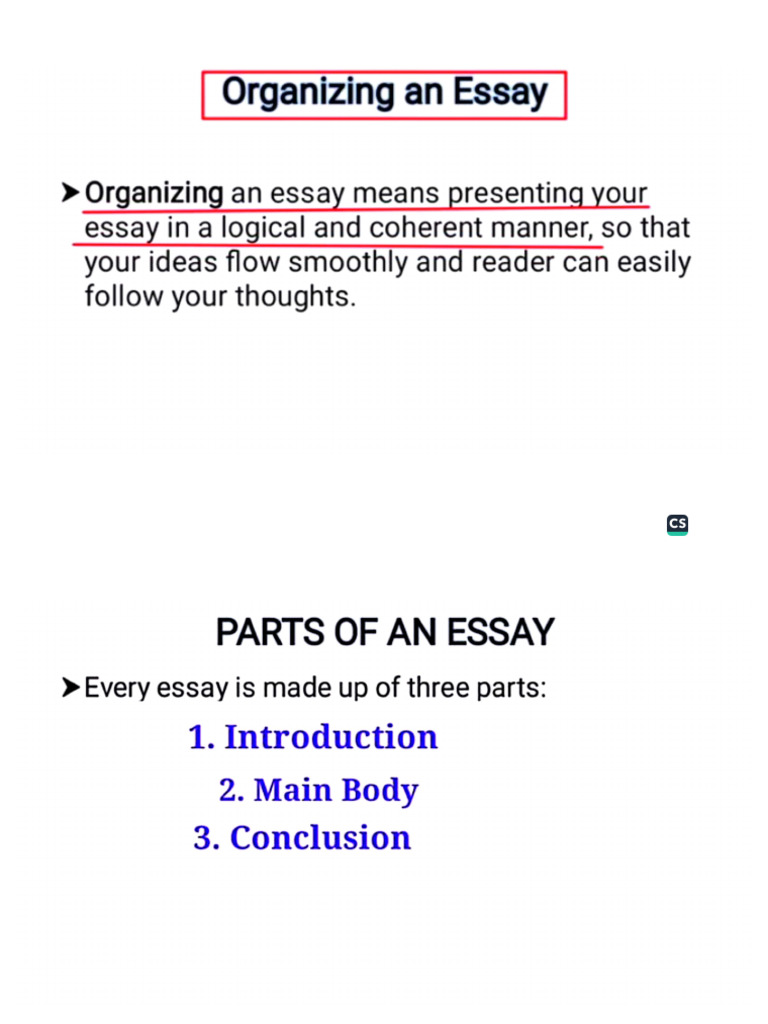 organizing essay 1-23-2025 11.04 | PDF