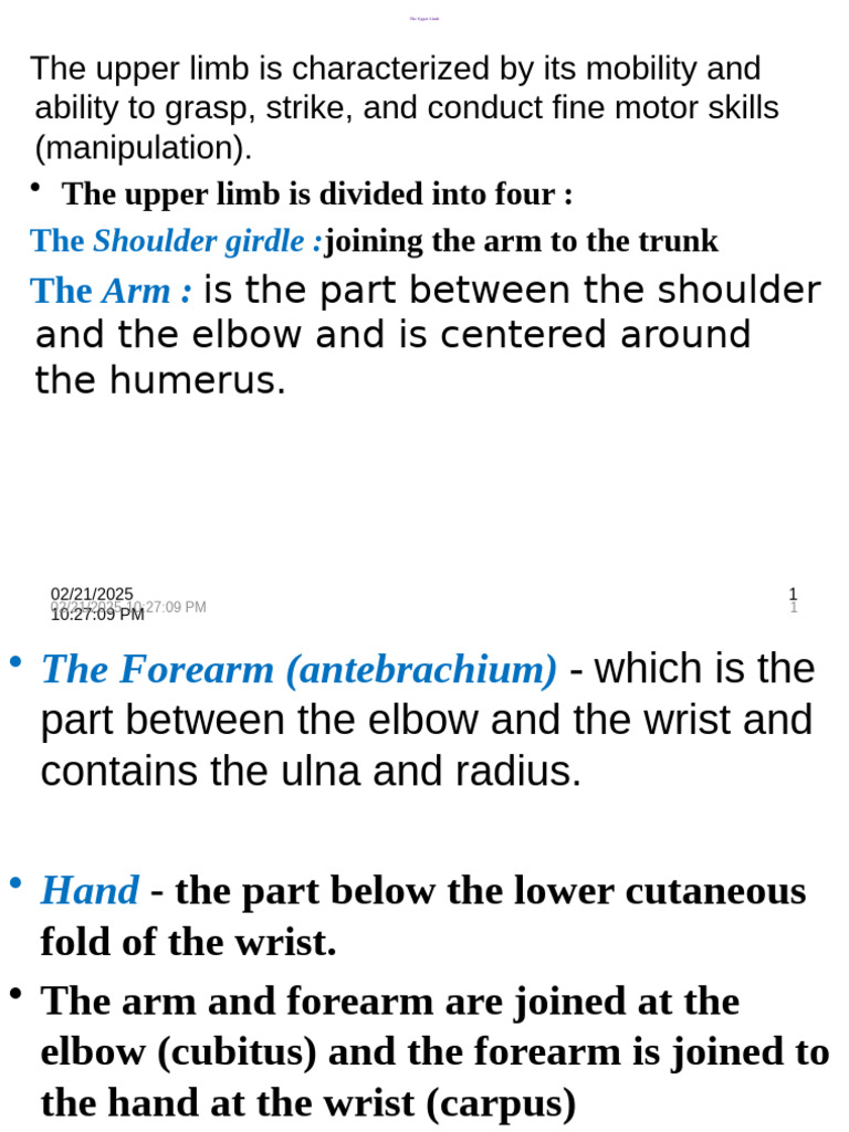 Upper Limb | PDF | Arm | Elbow