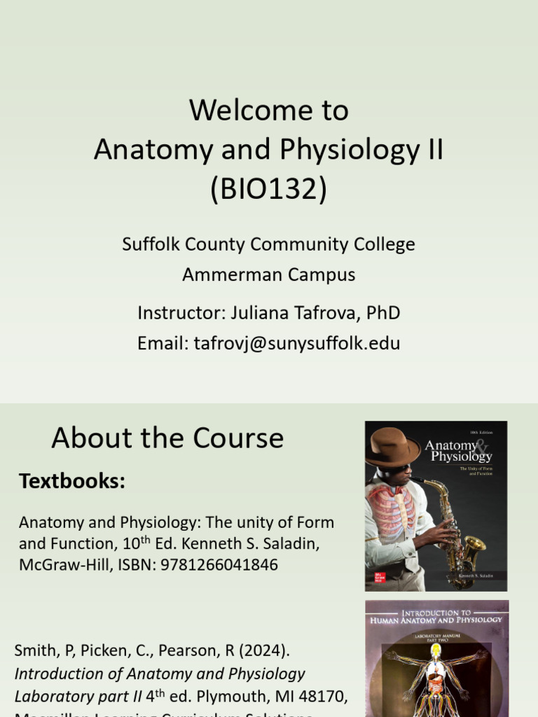 Chapter 17-The Endocrine System Part 1 | PDF | Thyroid | Pituitary Gland