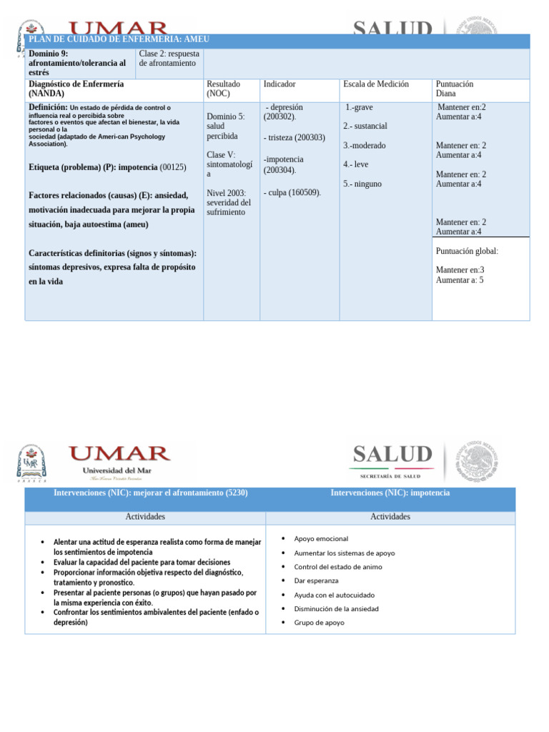 Plan de Cuidado en Ginecología AMEU | PDF | El embarazo | Aborto espontáneo