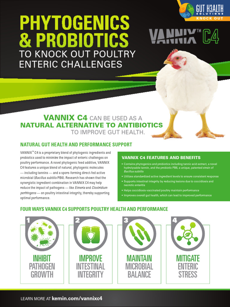 VANNIX C4 Broiler One Pager | PDF | Probiotic | Gastrointestinal Tract