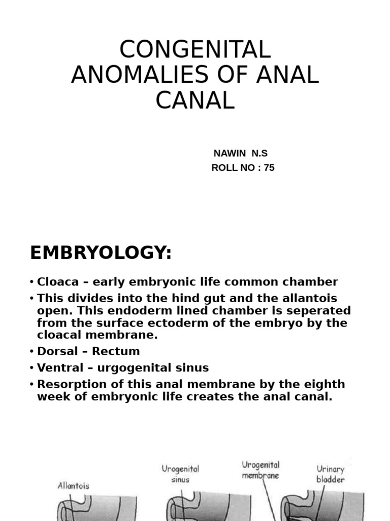 Congenital Anorectal Malformations | PDF | Diseases And Disorders