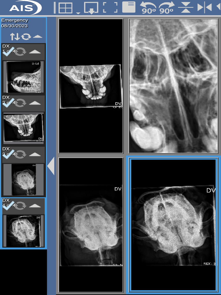 AIS Image Viewer | PDF