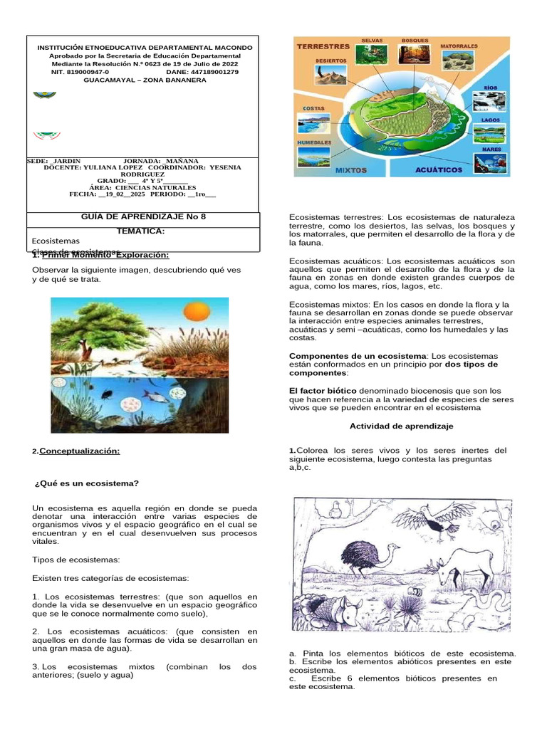 PLAN DE CLASES ECOSISTEMAS 4 Y 5 º | PDF | Ecosistema | Entorno natural
