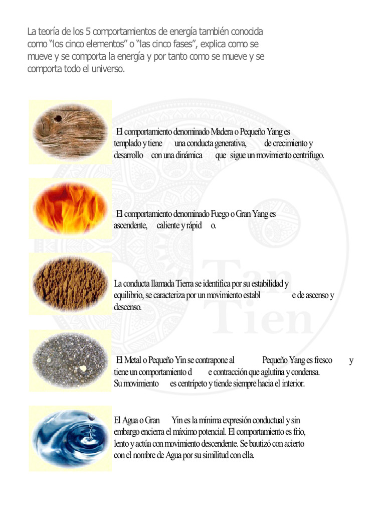 Cinco Elementos | PDF | Sistema digestivo humano | Anatomía
