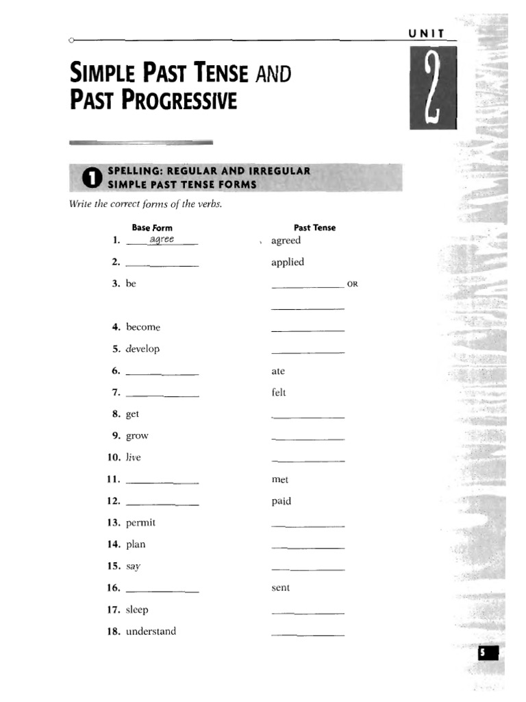 Unit 2. Grammar | PDF