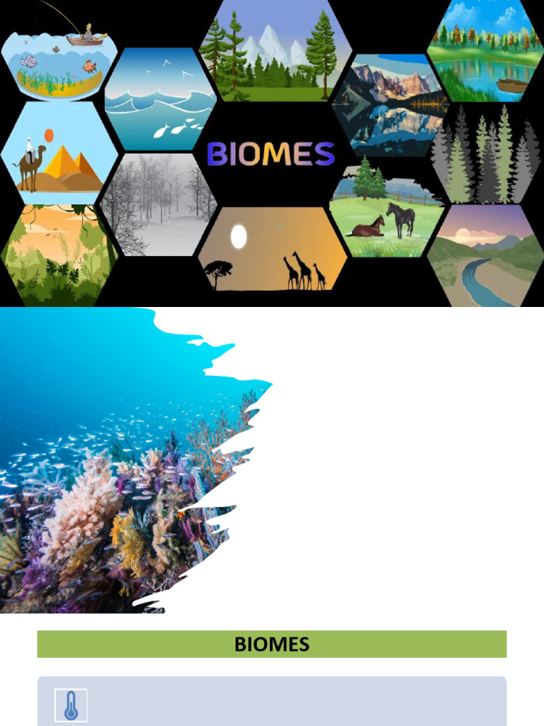 Lesson 3A Aquatic+Biomes | PDF | Lake | Plankton