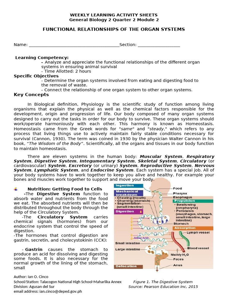 Organ Systems and Homeostasis in Biology | PDF | Human Body ...