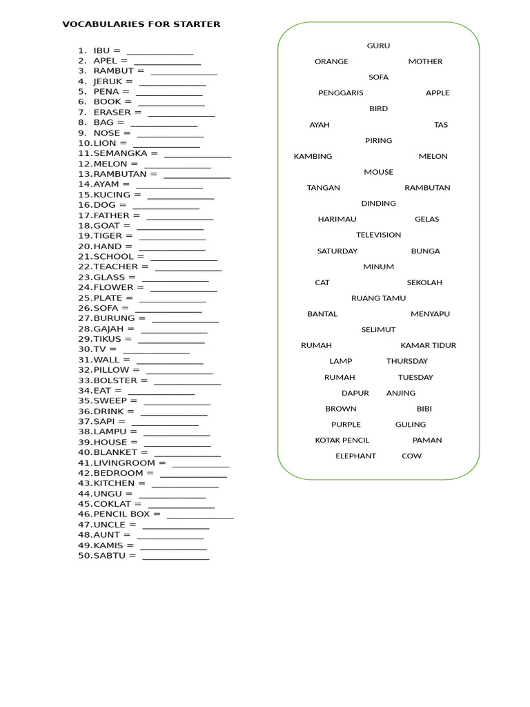 Essential Vocabulary for Beginners | PDF