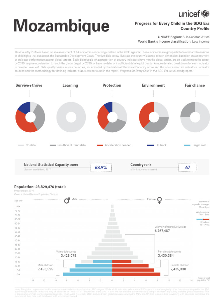 country_profile_moz | PDF | Violence | Public Health