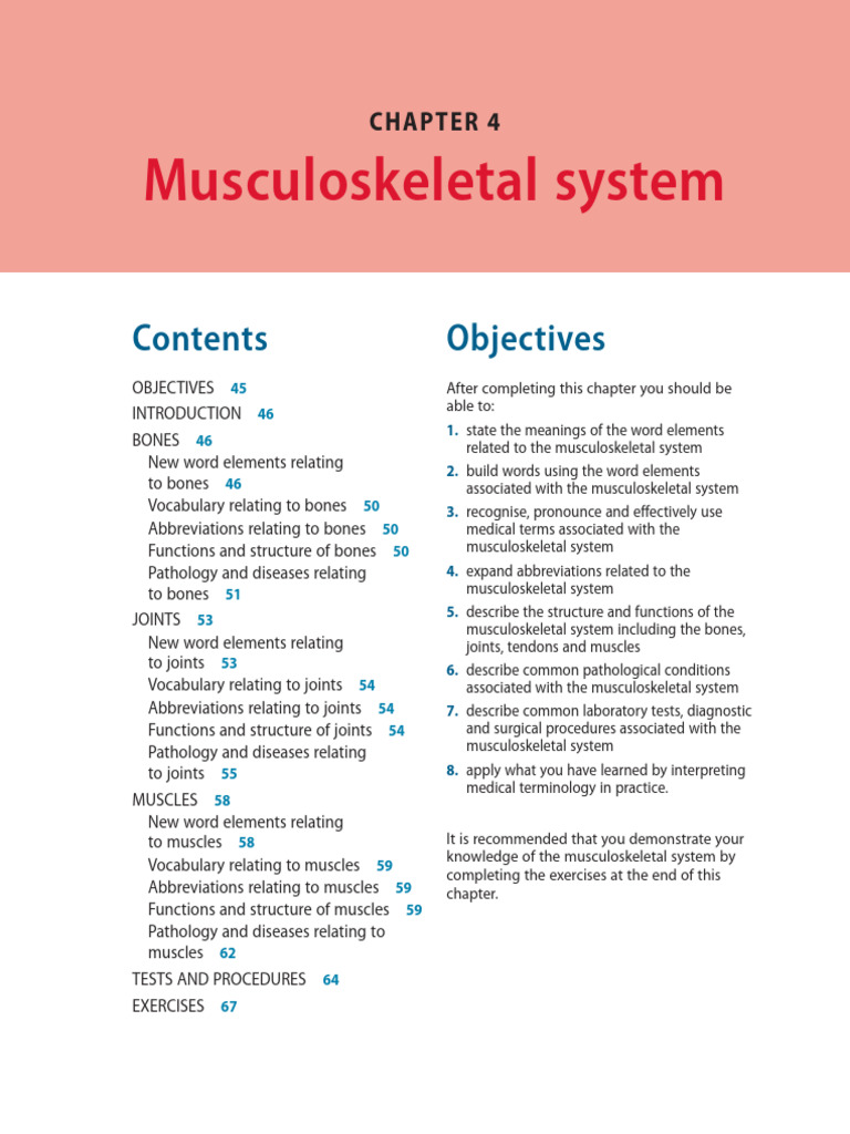 Musculoskeletal System | PDF | Bone | Osteoporosis