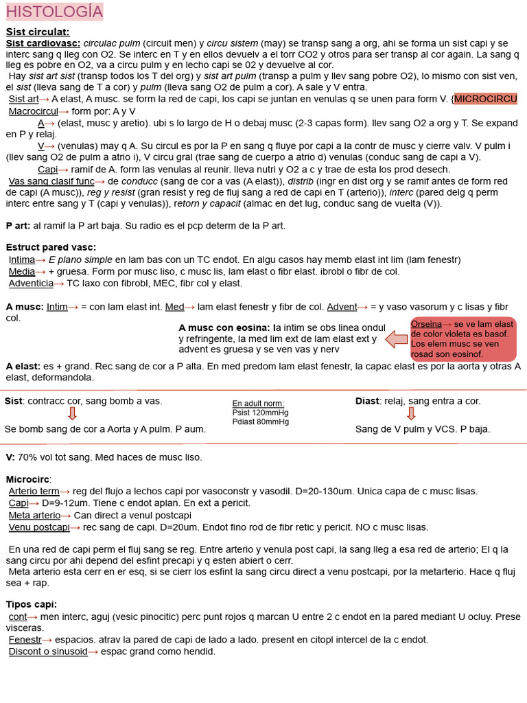 CARDIO | PDF