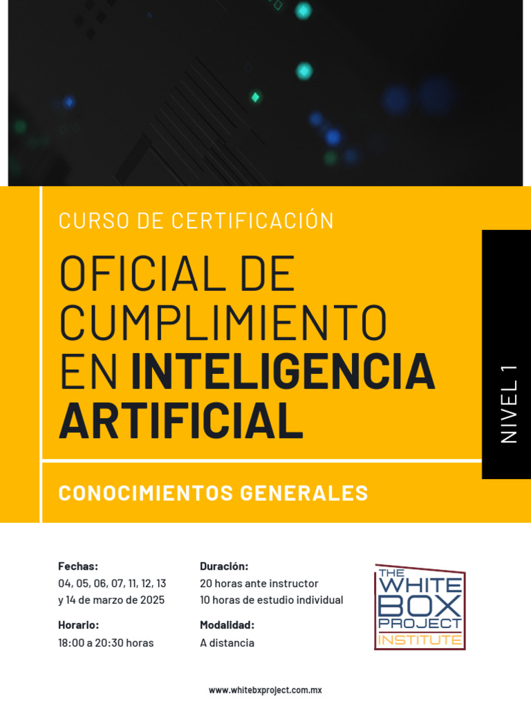 2025-1 BROCHURE Conocimientos Generales | PDF | Inteligencia artificial | Inteligencia (IA) y ...
