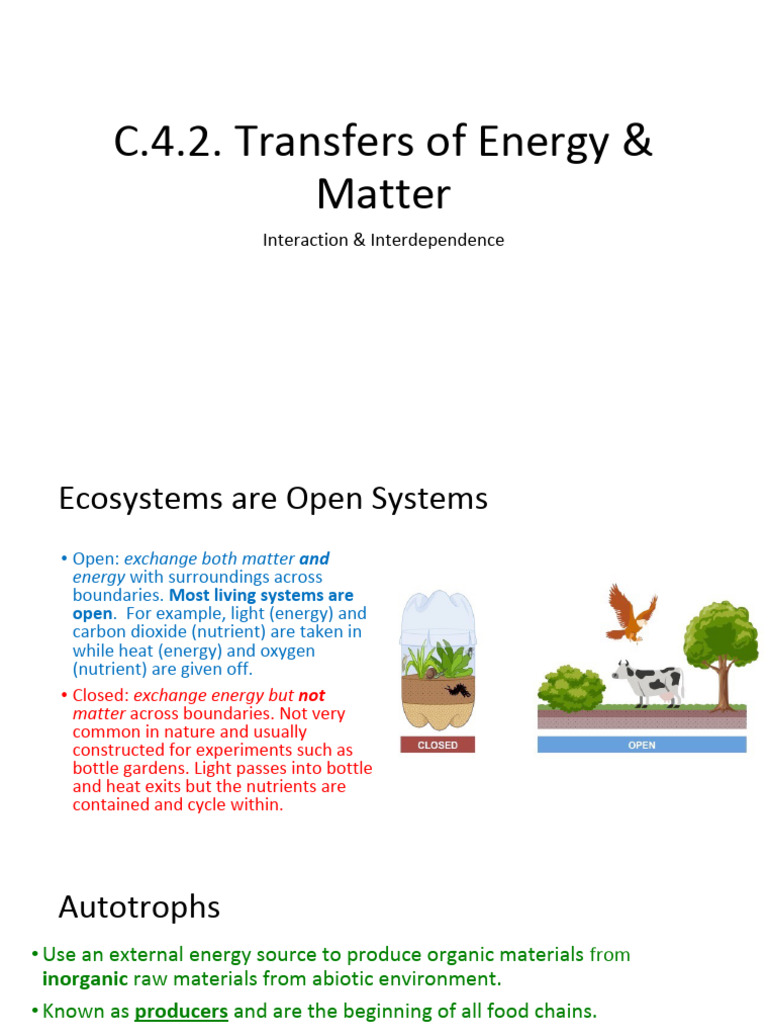 C.4.2. Transfers of Energy & Matter | PDF | Food Web | Natural Environment