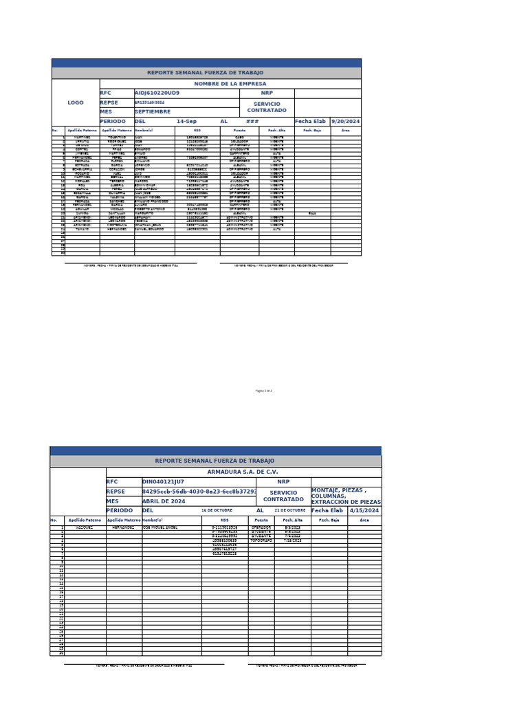 Reporte Fdt (1) | PDF