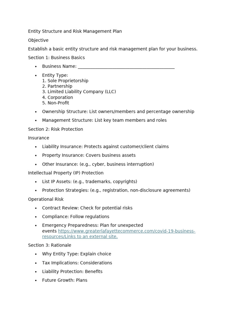 Entity Structure and Risk Management Plan Assignment#5 | PDF | Business ...