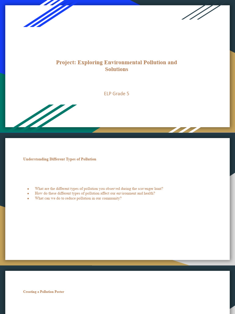 Project: Exploring Environmental Pollution and Solutions | PDF