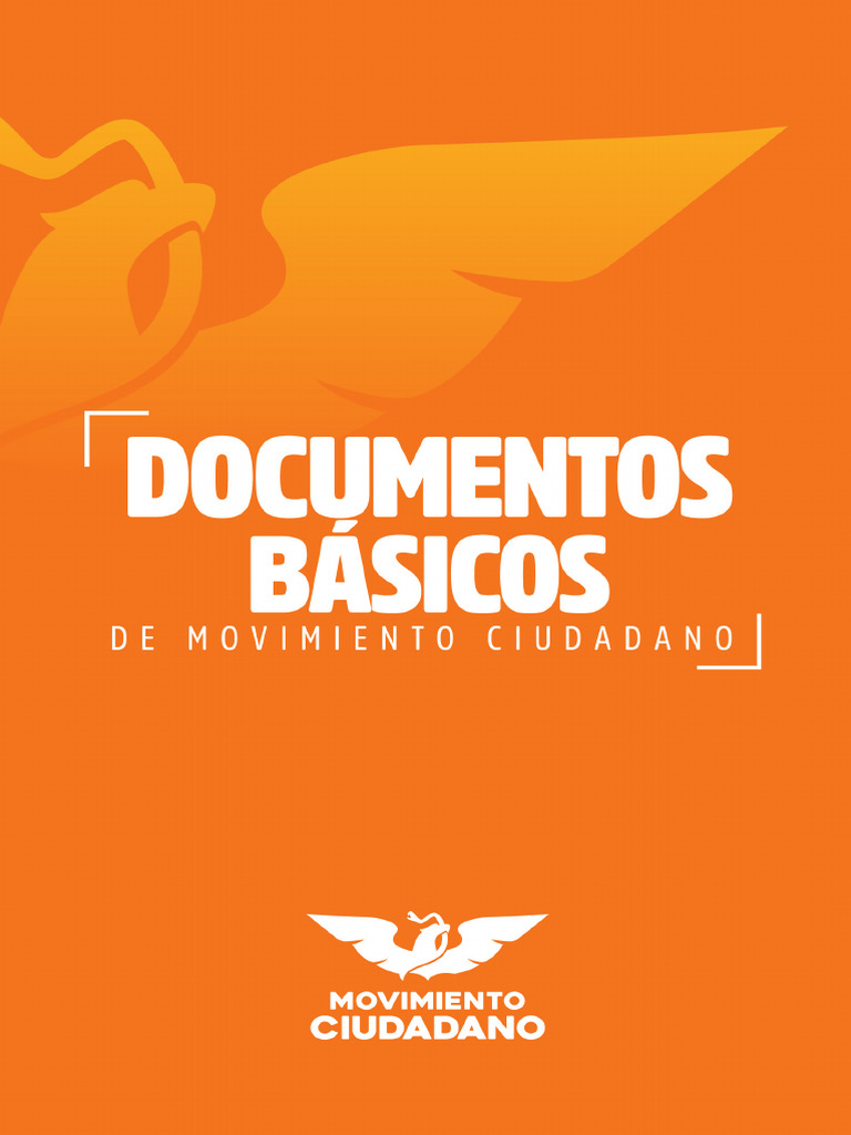 MC Libro 2020 Documentos Basicos | PDF | Democracia | Ideologías políticas