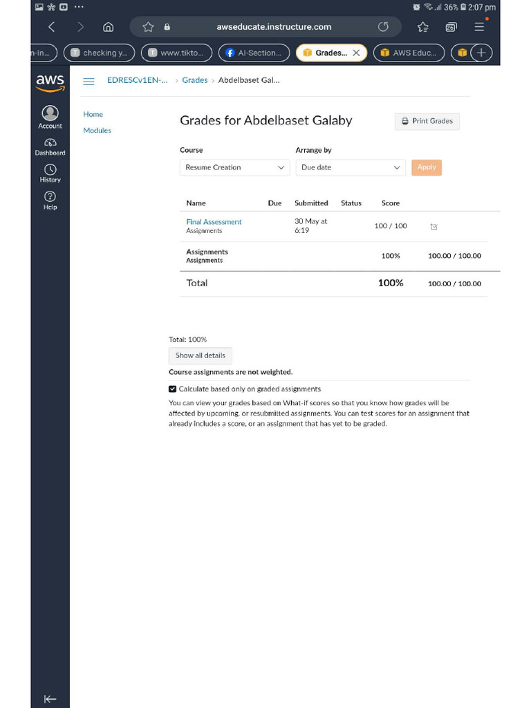 Abdelbaset Hisham Abdelbaset - Section 9 | PDF