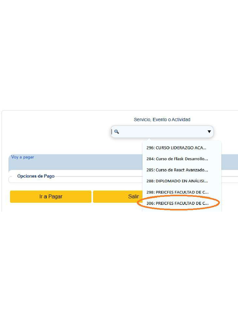 Instructivo para Pago Pse | PDF