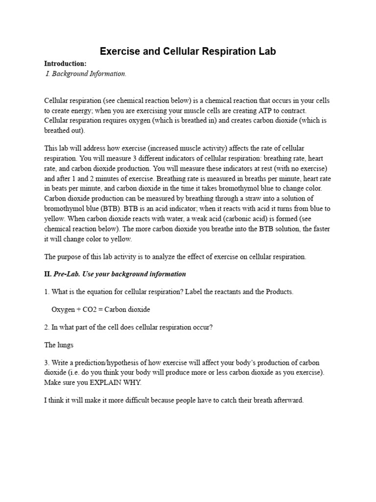 Exercise and Cellular Respiration Lab | PDF | Breathing | Cellular ...