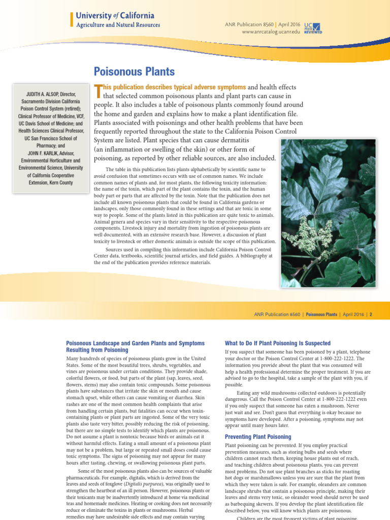 Poisonous Plants | PDF | Poison | Botany