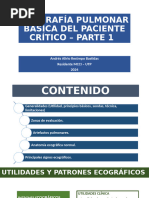 Protocolo Blue | PDF | Enfermedades y trastornos | Neumología