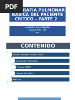 Protocolo Blue | PDF | Enfermedades y trastornos | Neumología