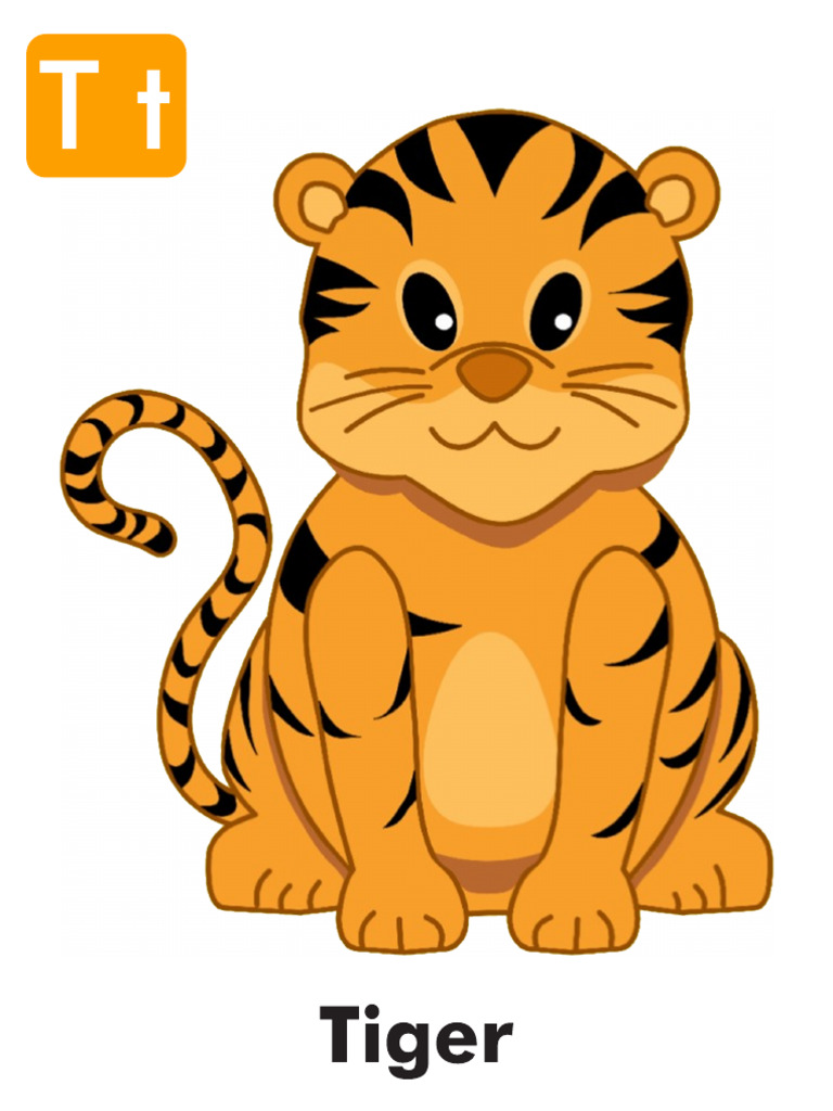 Flashcards - T | PDF