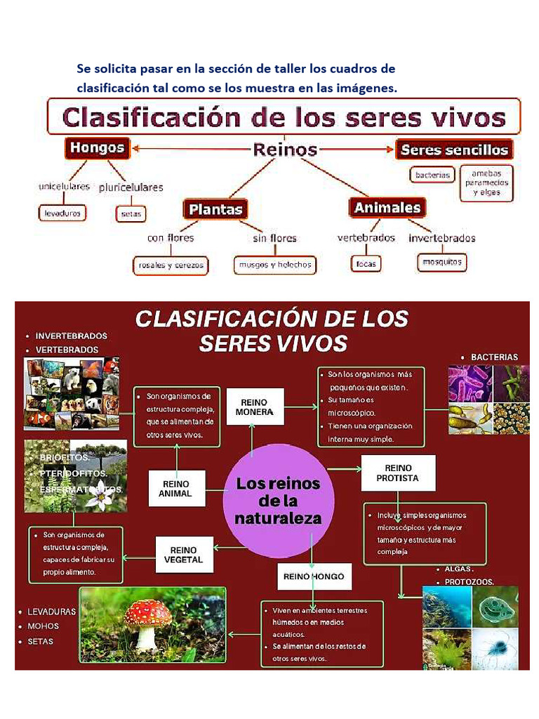 Taller 2 CCNN....... (4) | PDF